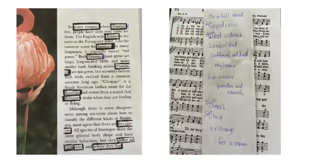 Blackout Poetry (Examples and Poem Ideas For Kids)